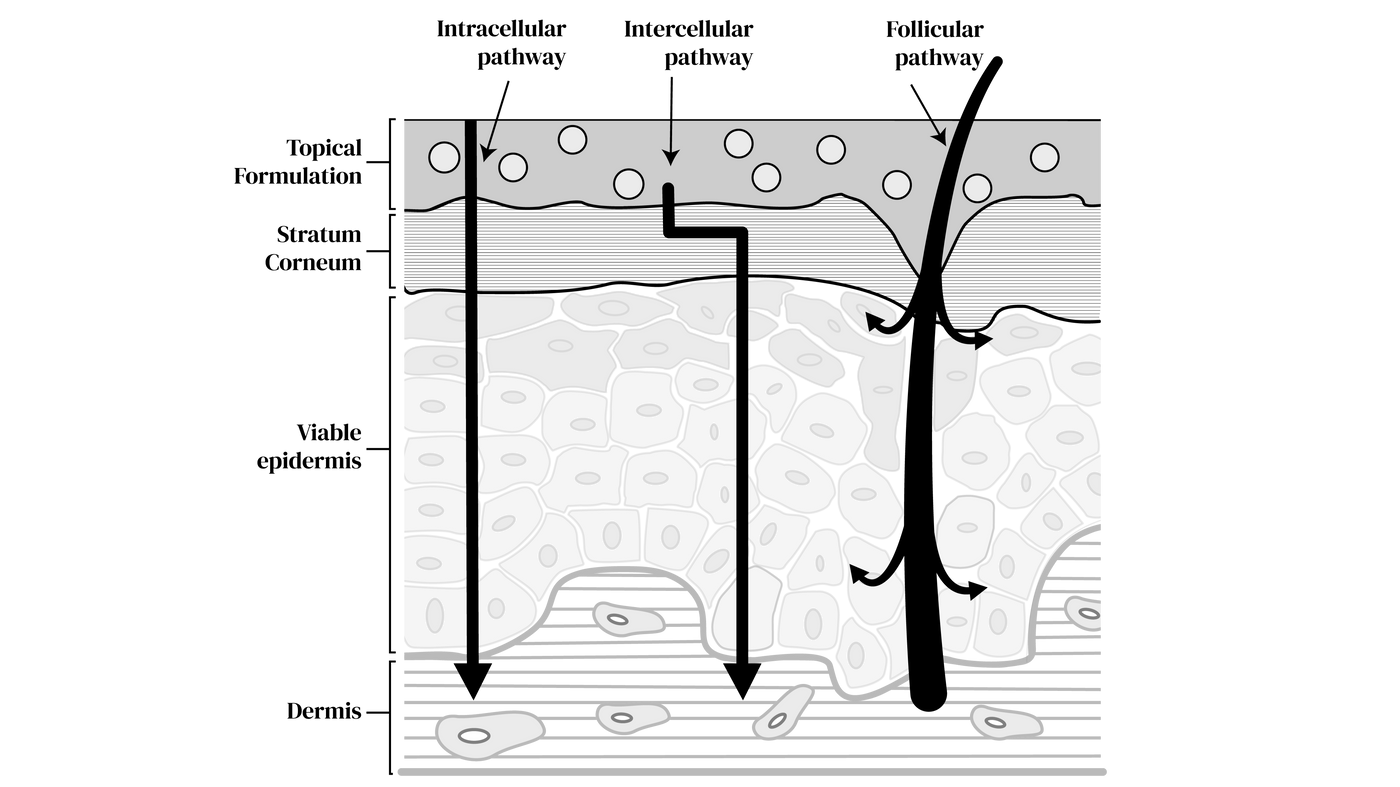 The Science – NEX Skincare